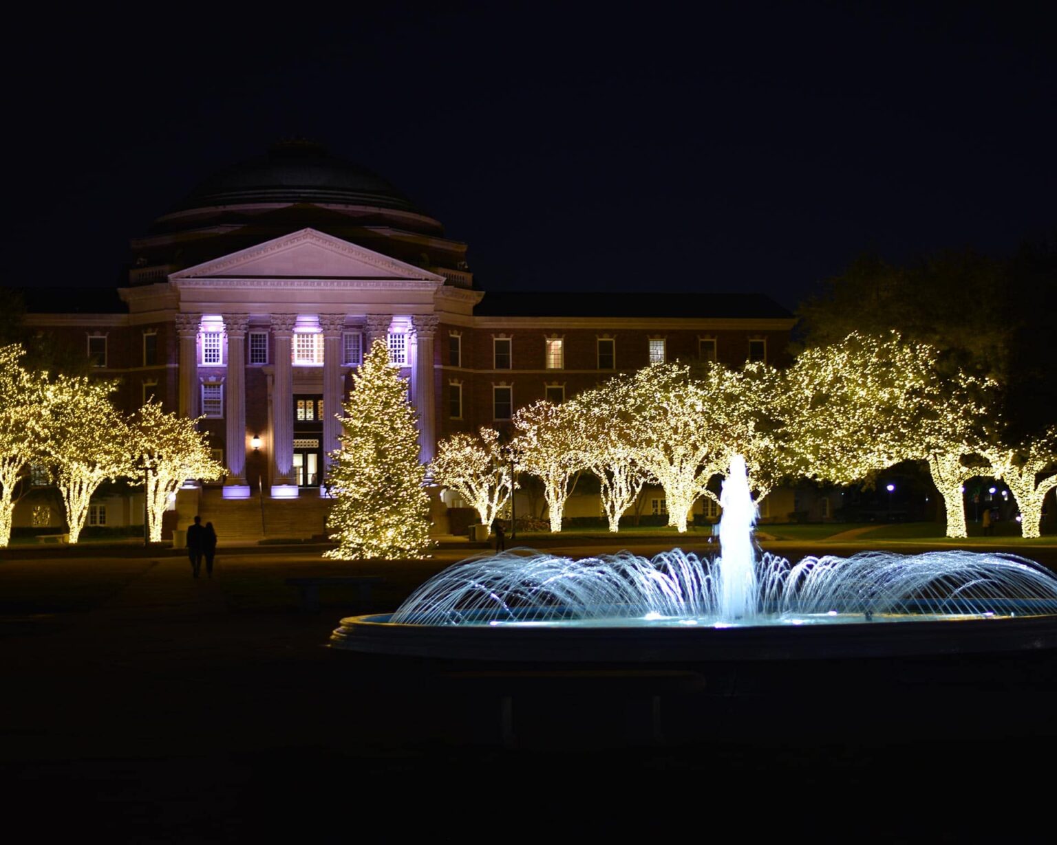 Sandone Christmas Tree – Dallas, TX